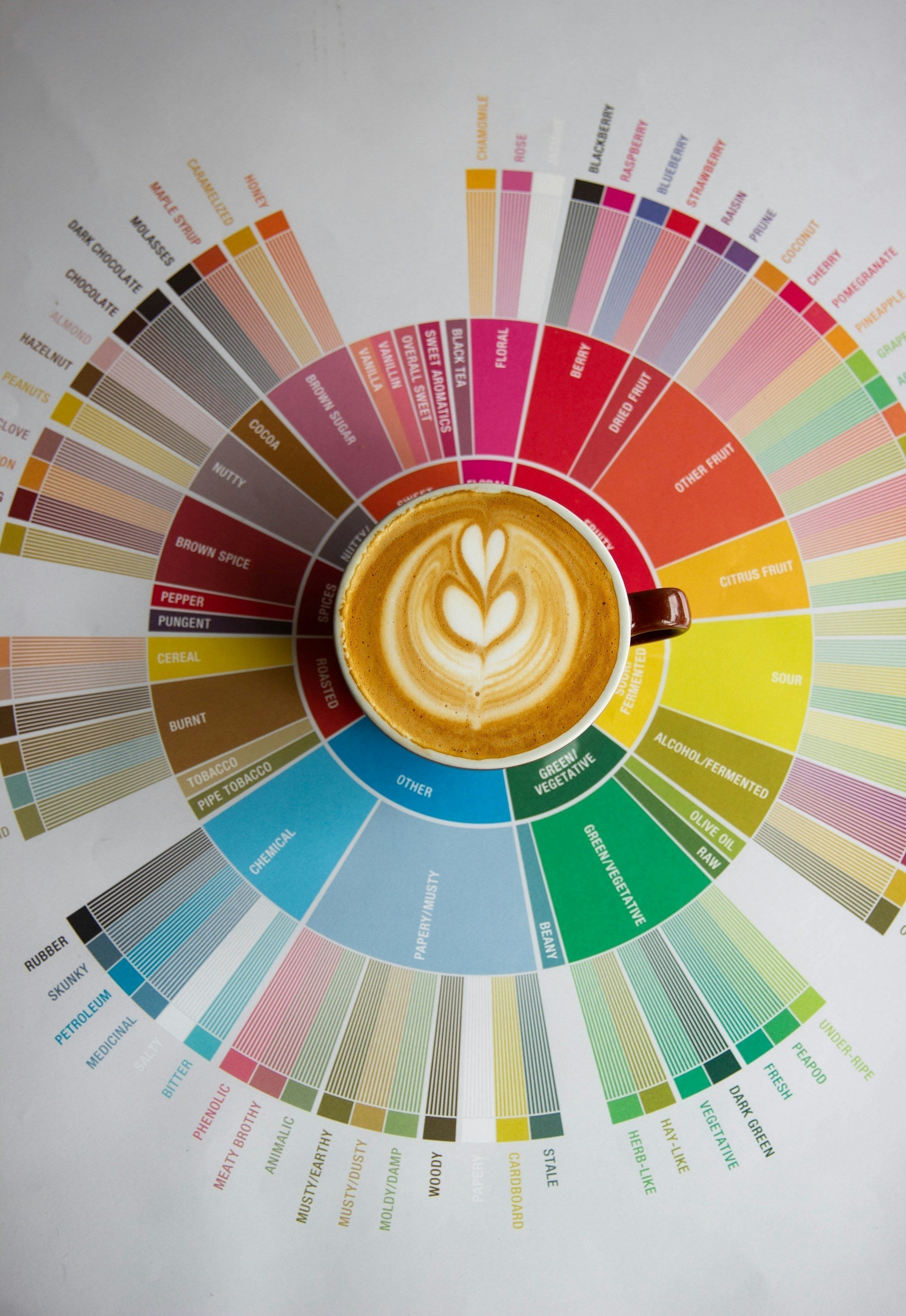 Coffee Tasting Guide: How to Identify Flavor Notes in Your Brew